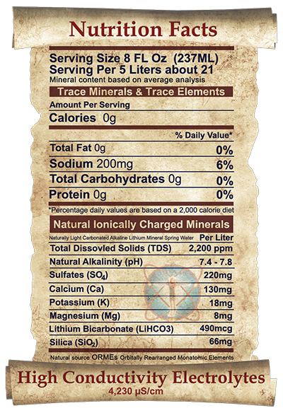 Lithia Spring Water Since 1888 10-LITERS 338 Fl Oz~DISCOUNT SAVE 30%